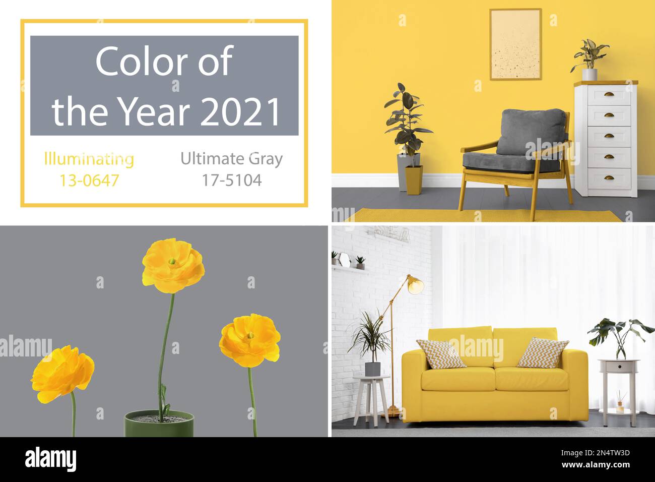 Color of the year 2021. Collage with different photos Stock Photo - Alamy
