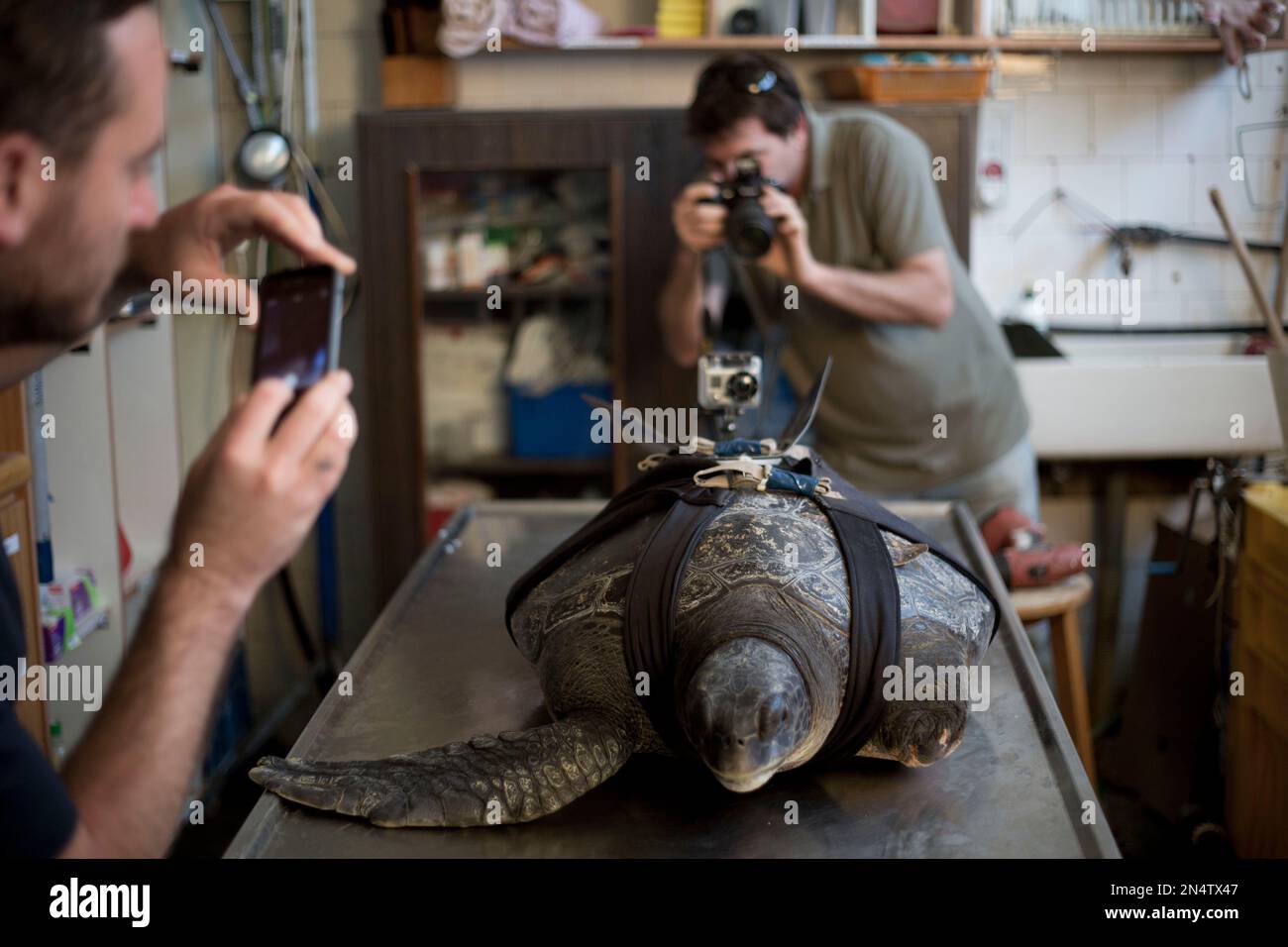 In this photo taken Thursday, May 15, 2014, Yaniv Levy, director of ...
