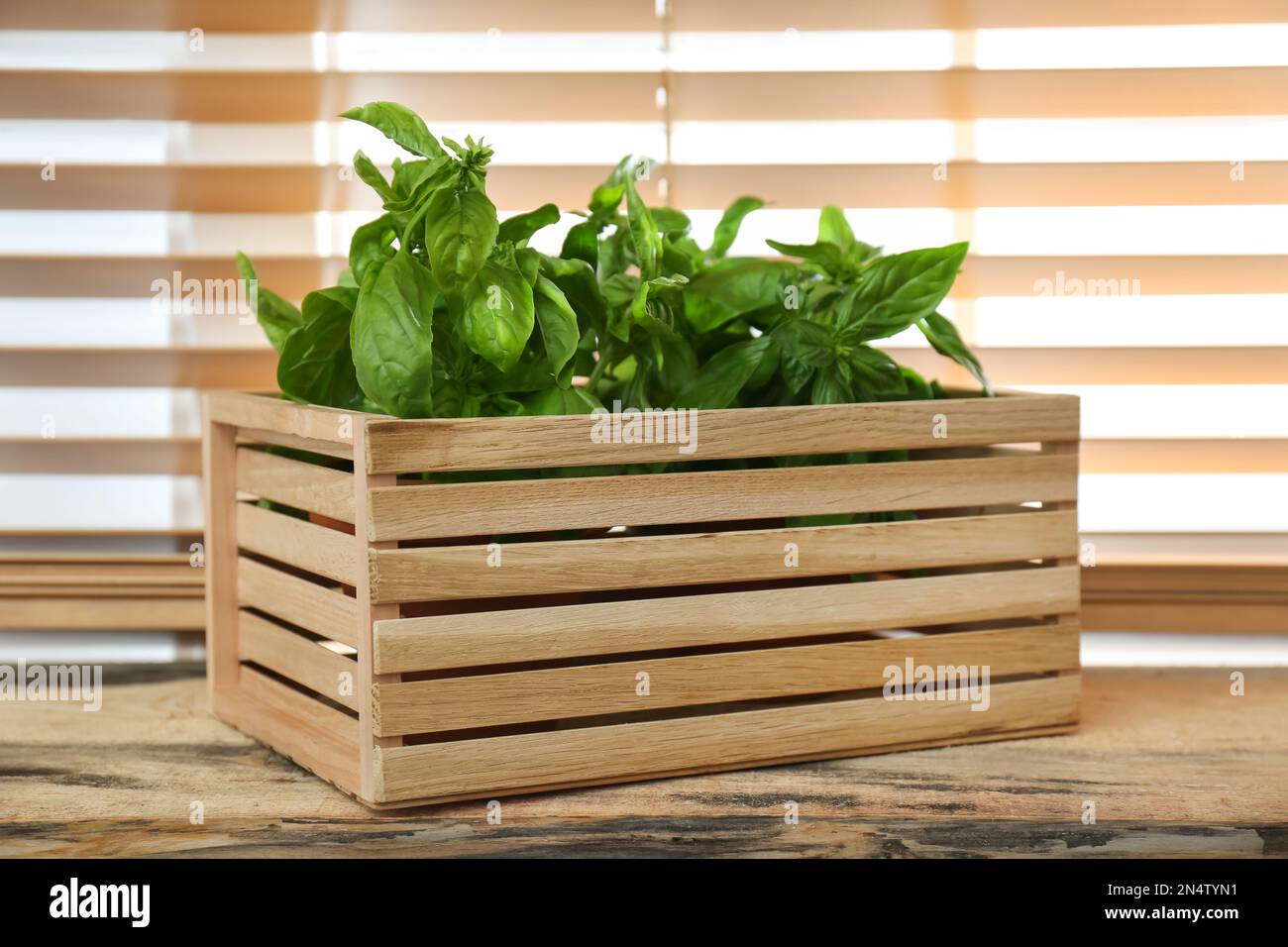Fresh green basil in crate on wooden window sill Stock Photo - Alamy