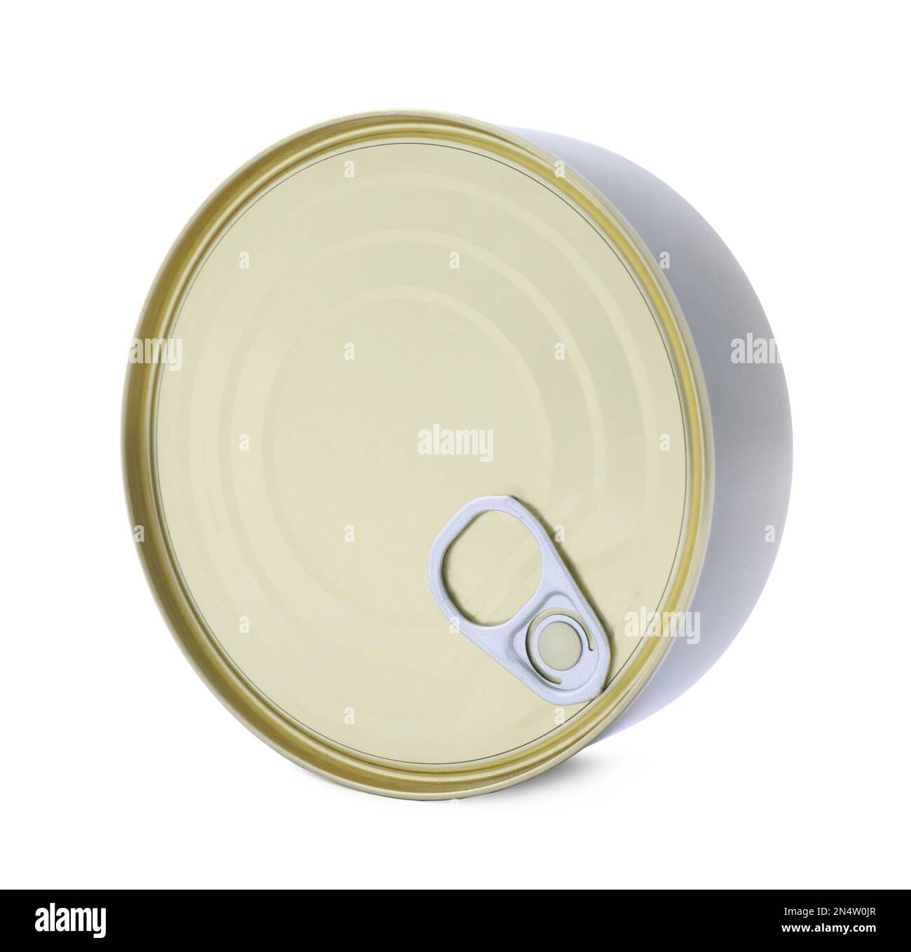 Closed tin can of food isolated on white Stock Photo - Alamy