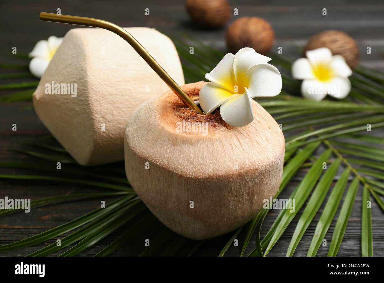 Coconut drinking straw on palm hi-res stock photography and images - Alamy