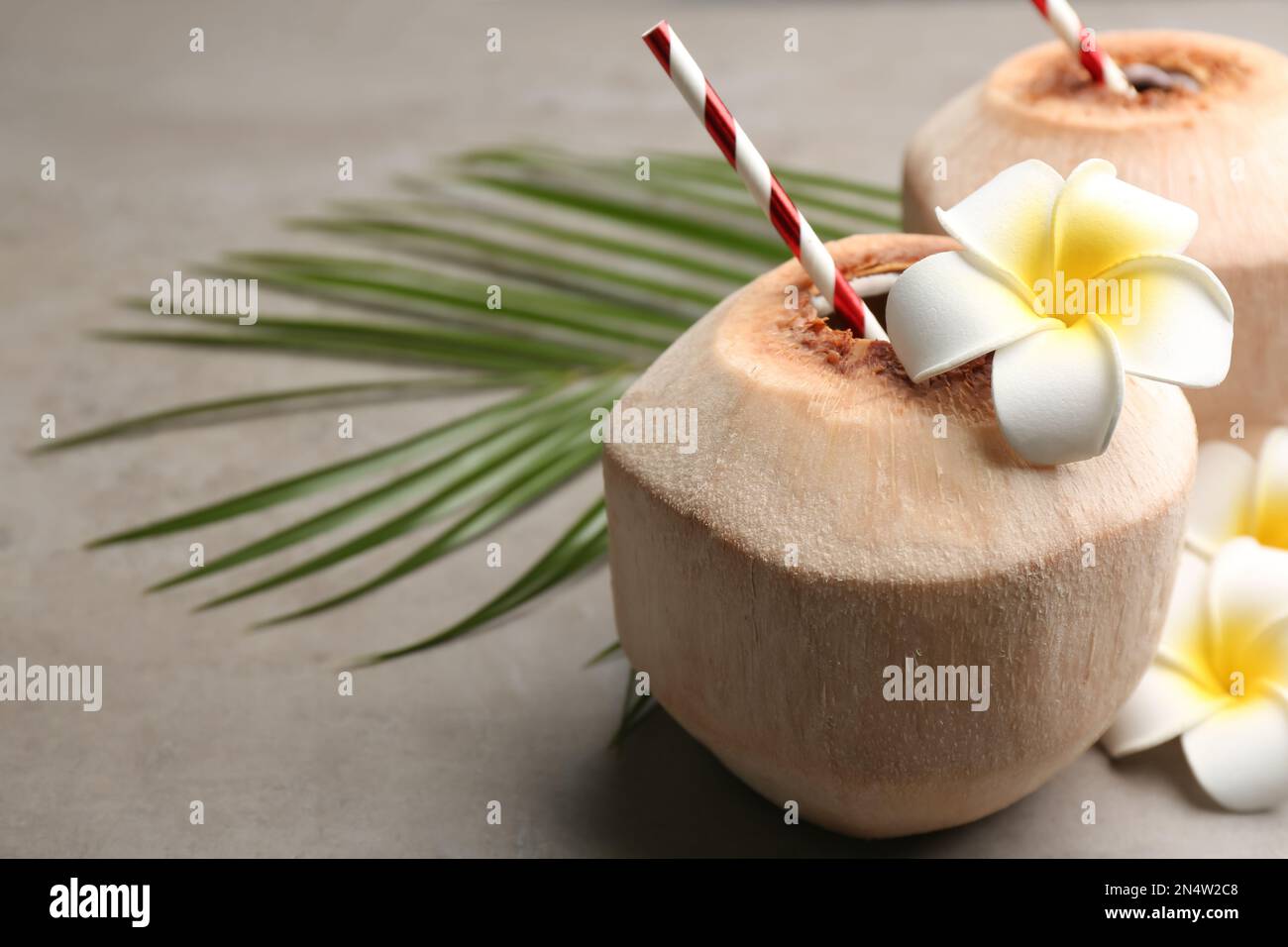 Coconut drinking straw on palm hi-res stock photography and images - Alamy