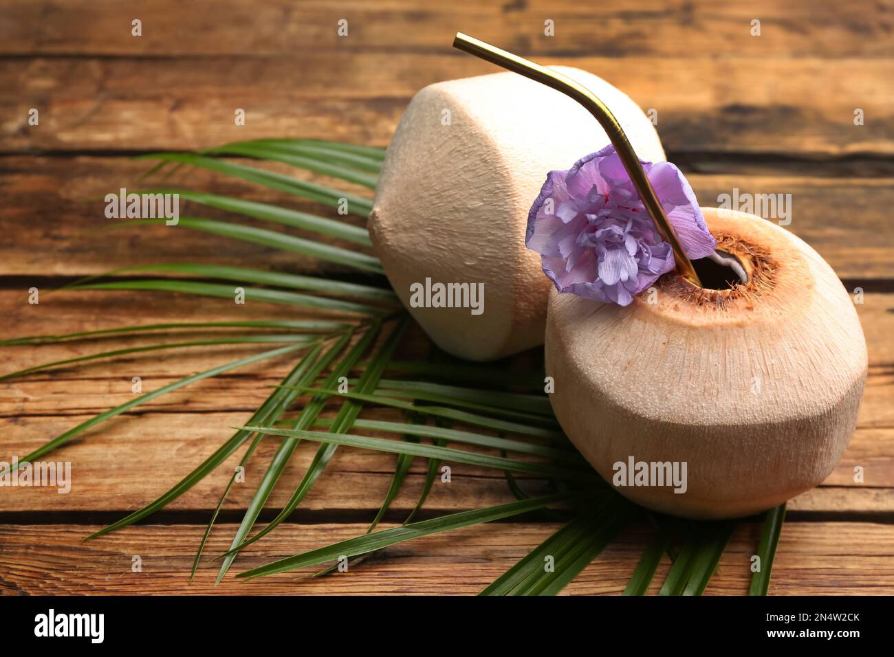 Coconut drinking straw on palm hi-res stock photography and images - Alamy