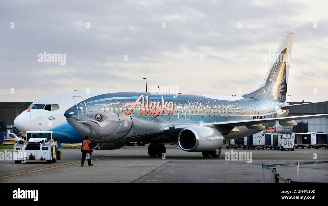 The Alaska Airlines "Salmon Thirty Salmon," a Boeing 737 airplane ...