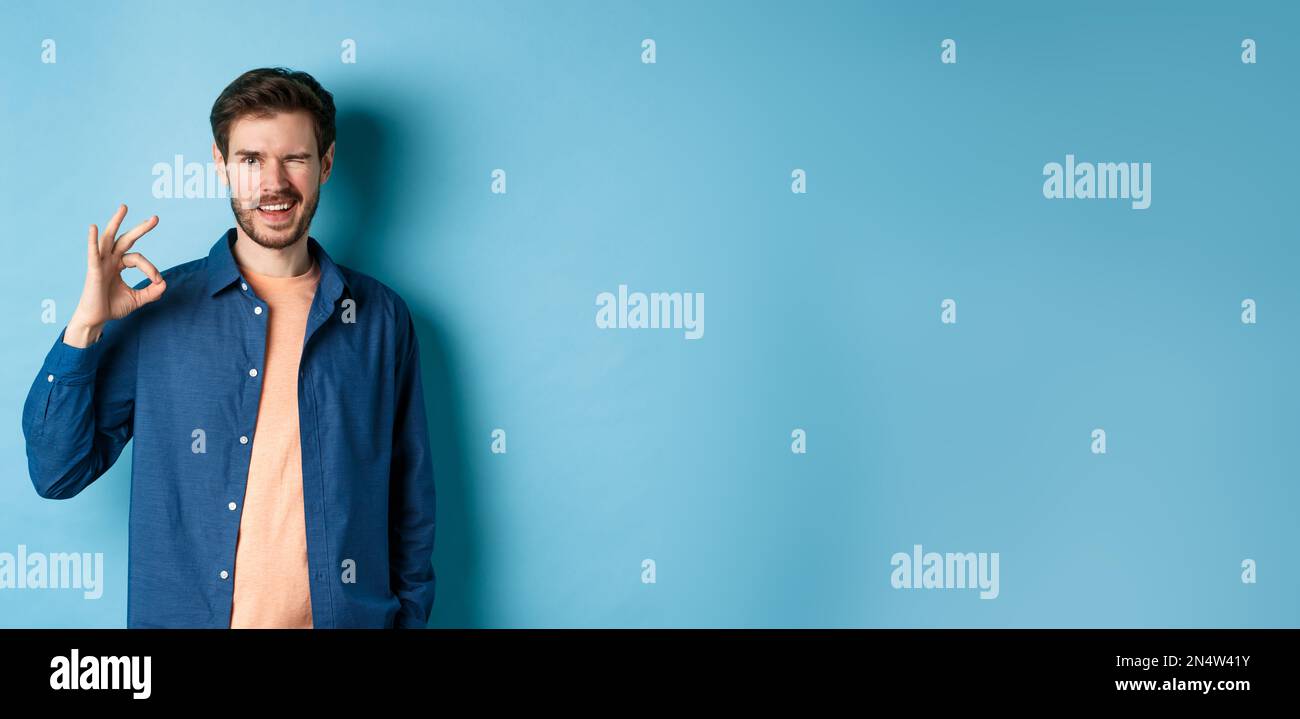 Positive smiling guy winking and showing okay sign, praising good work ...