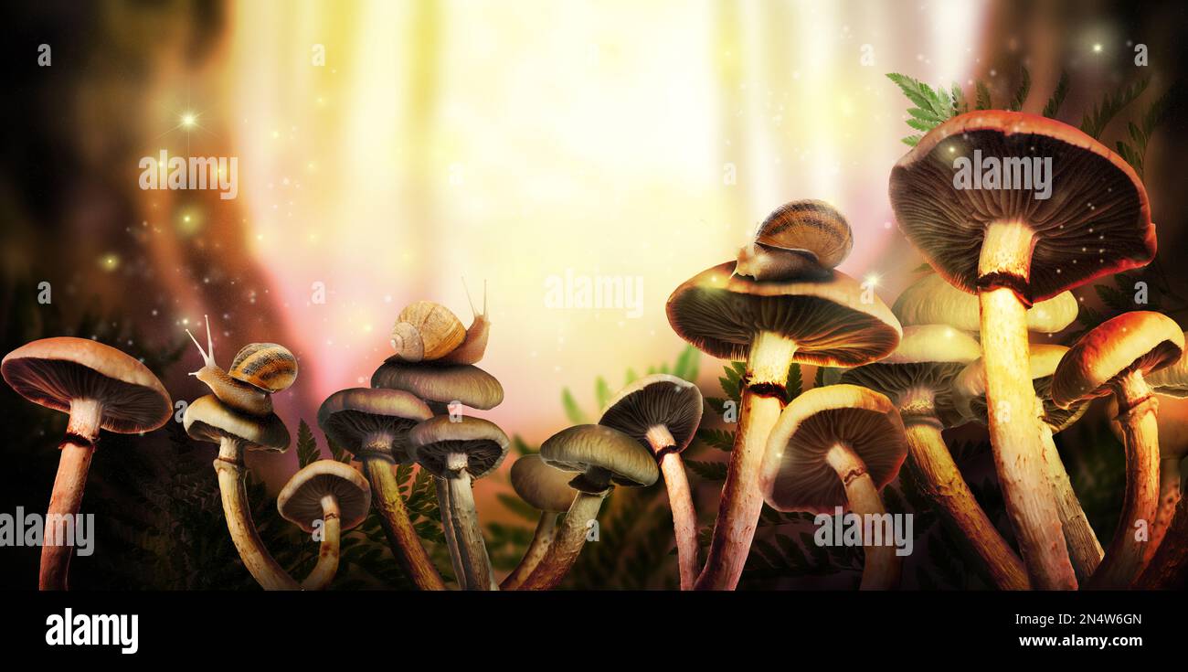 Fantasy world. Mushrooms with snails lit by magic light in enchanted ...