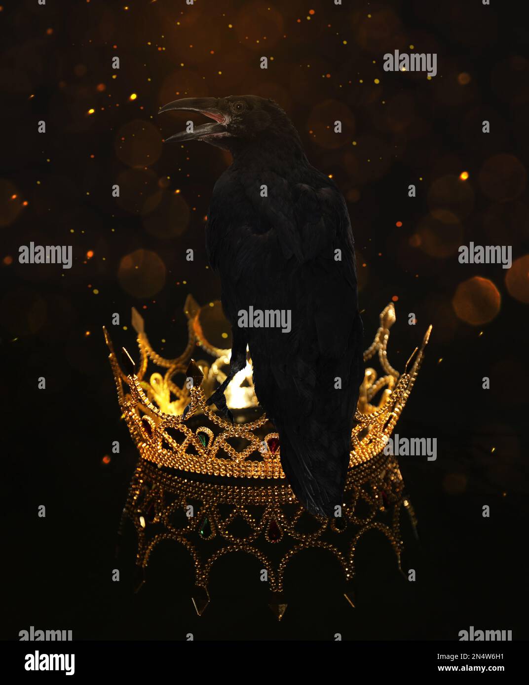Fantasy world. Black crow sitting on golden crown, bokeh effect Stock Photo - Alamy