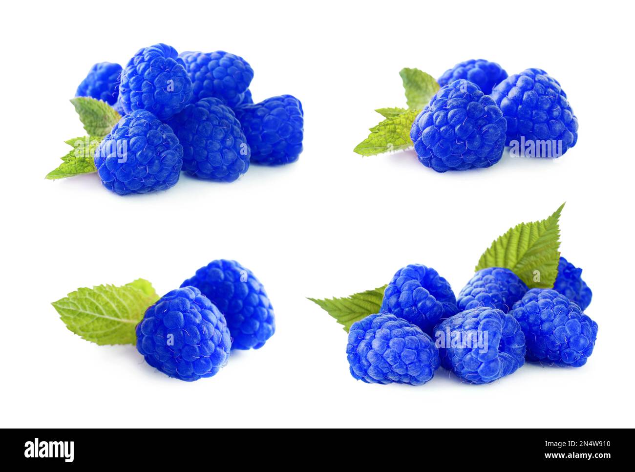 Set of fresh blue raspberries on white background Stock Photo - Alamy