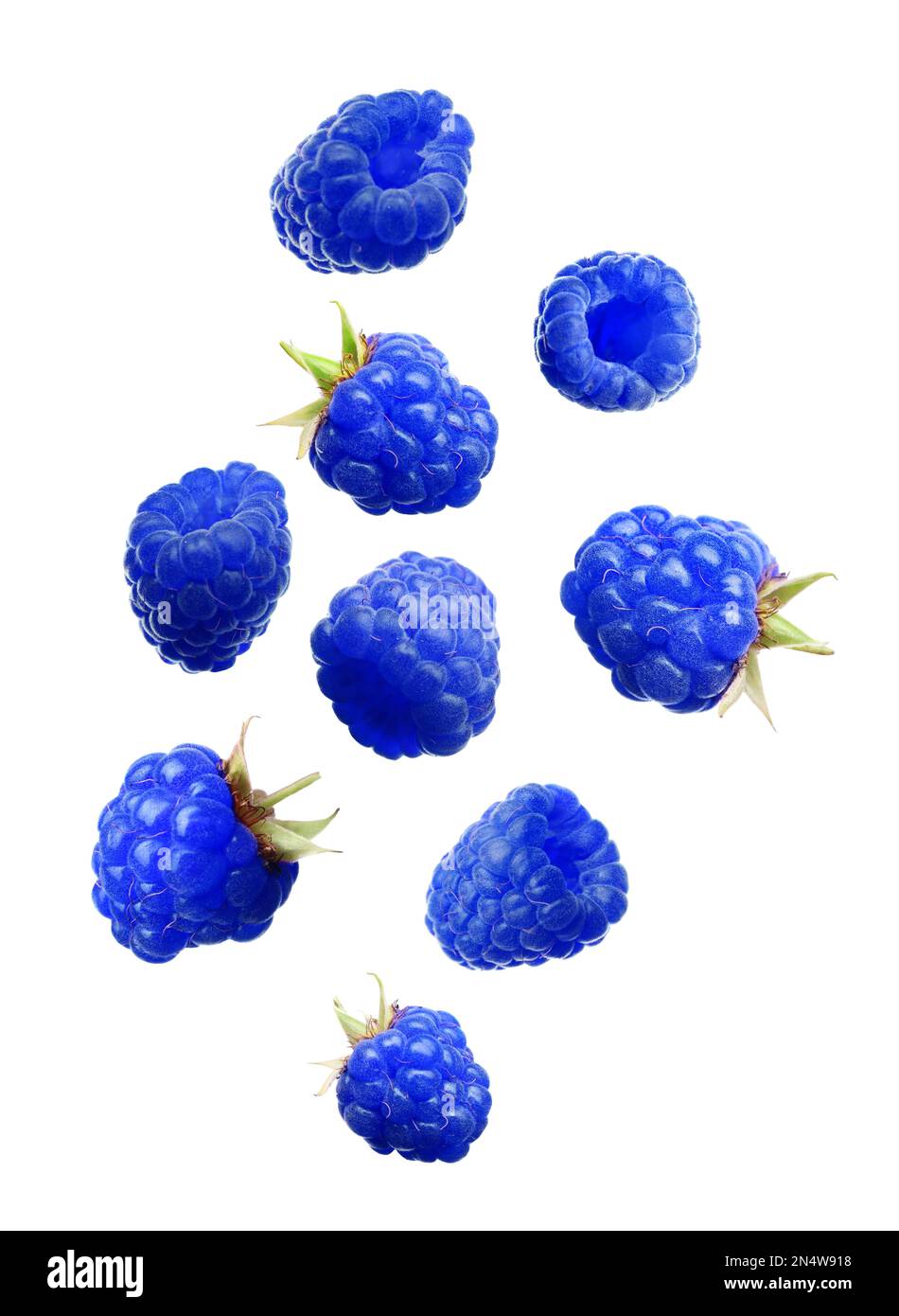 Falling fresh tasty blue raspberries on white background Stock Photo ...