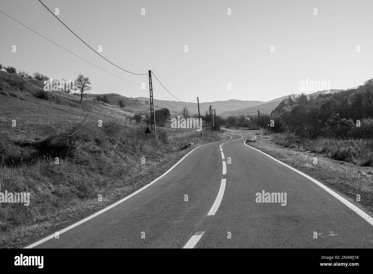 A grayscale of a winding road and telephone lines in a countryside area ...