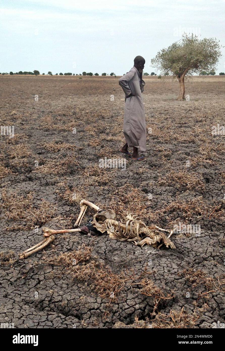 In this photo taken Thursday, May 8, 2014 and made available Tuesday ...