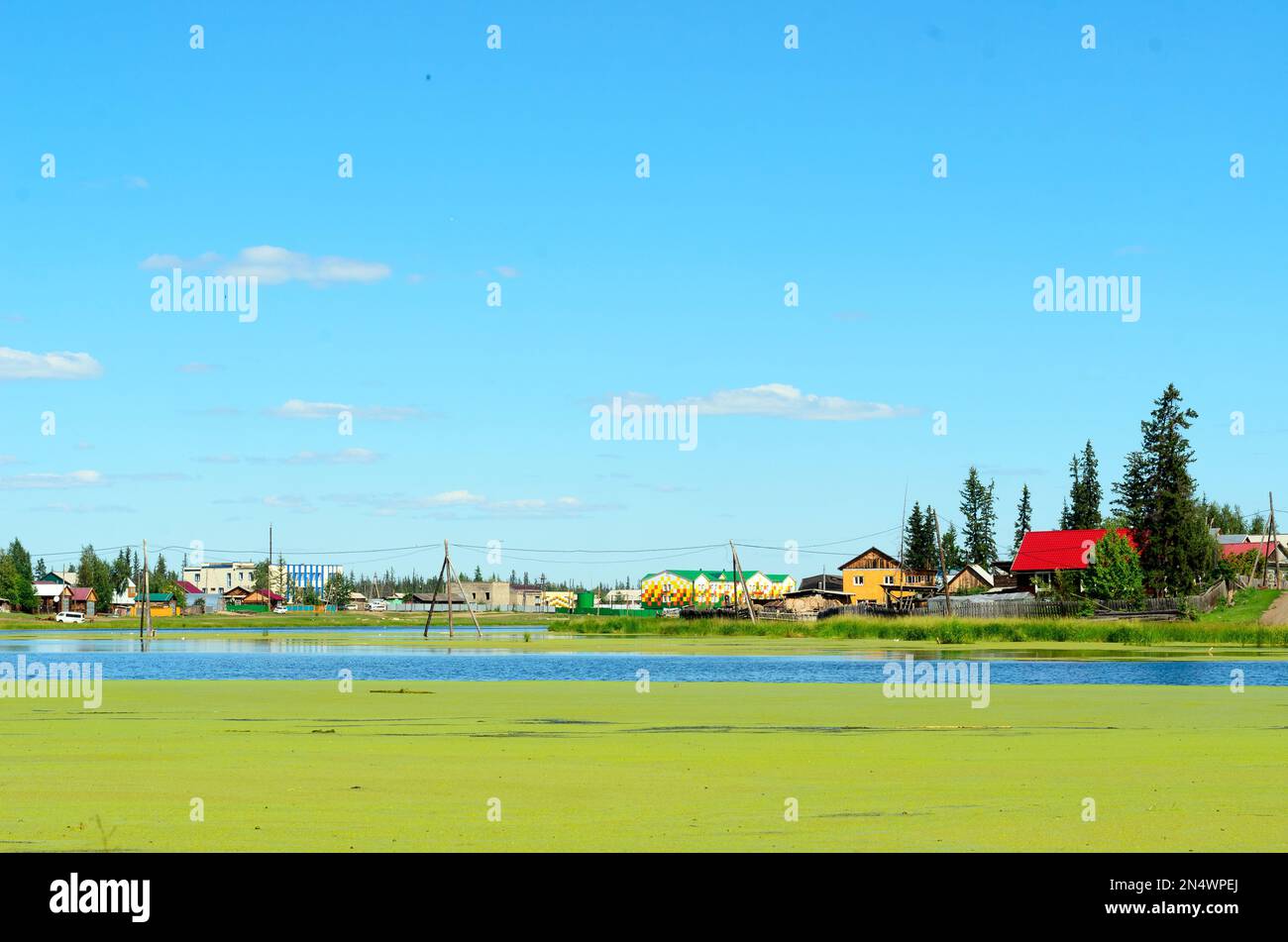 Bright day in the village of ulus Suntar in Yakutia on a overgrown pond ...