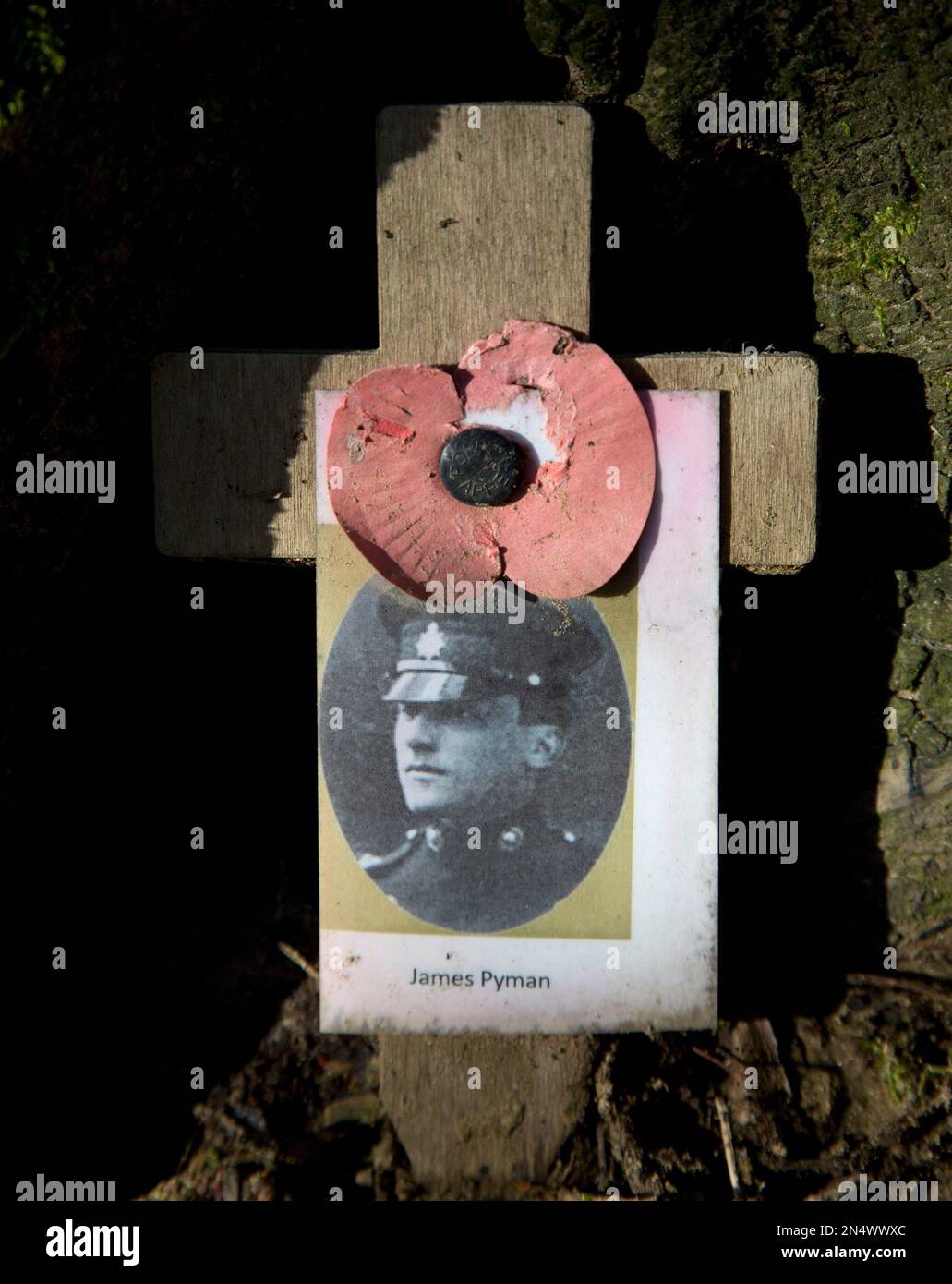 In this photo taken on Feb. 3, 2014, a photo of World War One British ...