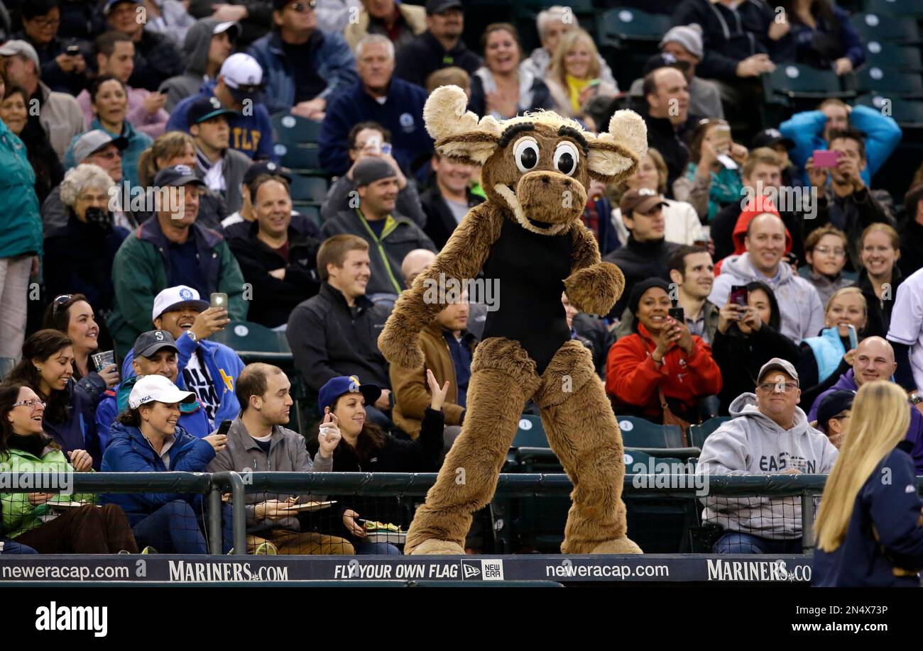 Seattle Mariners' mascot, the Mariner Moose, dances atop a dugout while ...