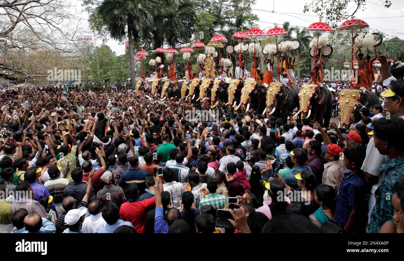 Decorated temple elephants participate in a Pooram festival procession ...