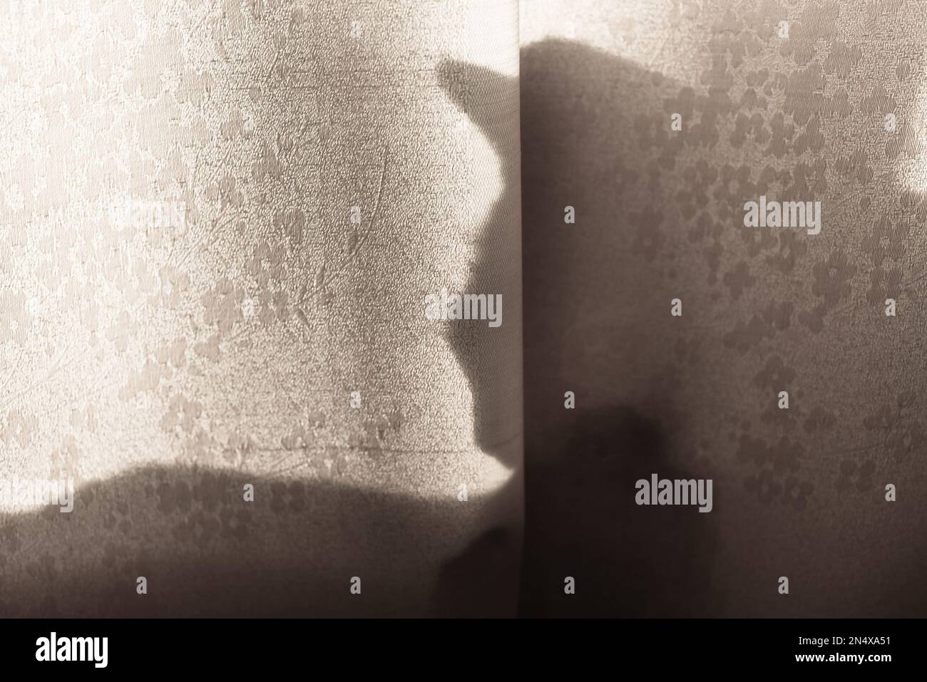 Sepia photo silhouette of the shadow of a cat with its head and ears ...