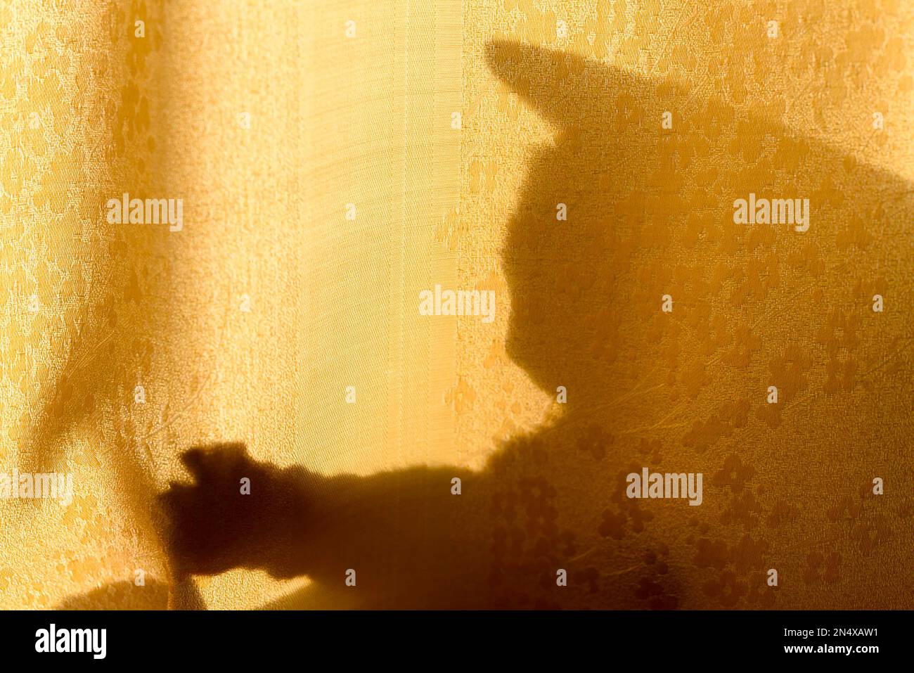 Silhouette of the shadow of a cat's head with ears and paws playing ...