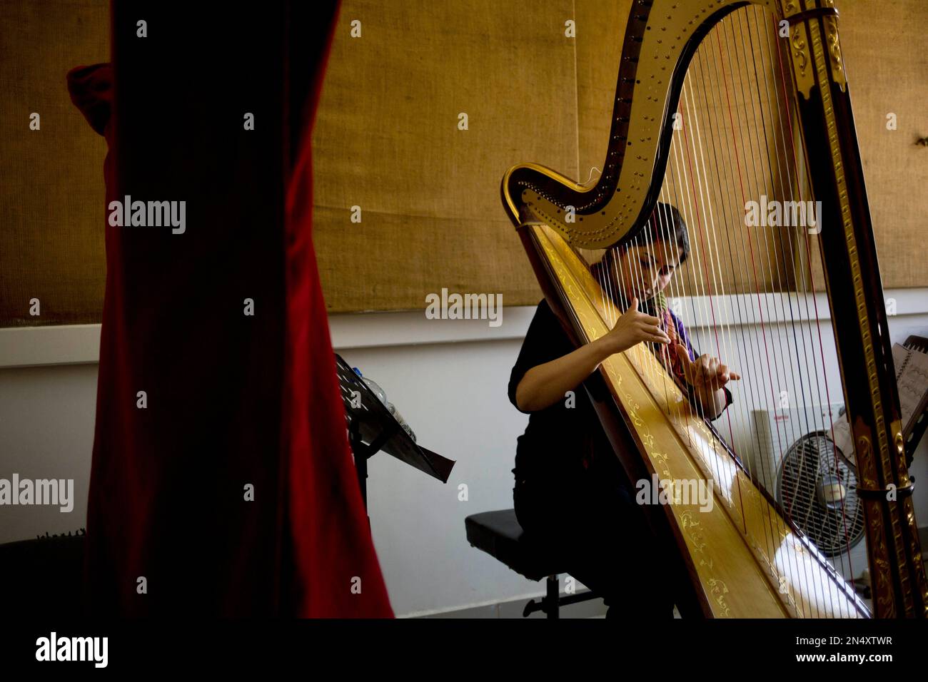 In this Sunday, May 4, 2014 photo, a musician plays harp during a ...