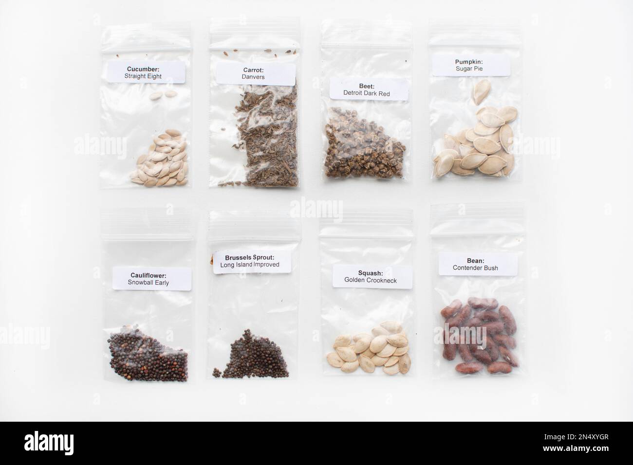Various isolated bags of labeled seeds on the white background Stock ...