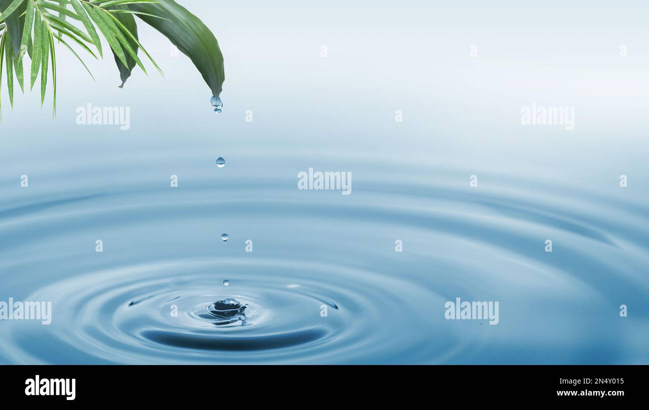 Water drop. World Water Day Stock Photo - Alamy