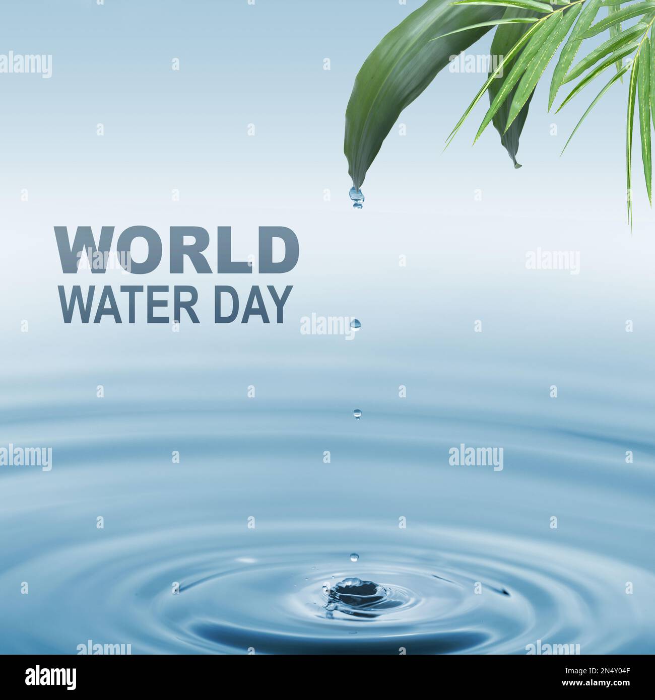 Water drop. World Water Day Stock Photo - Alamy