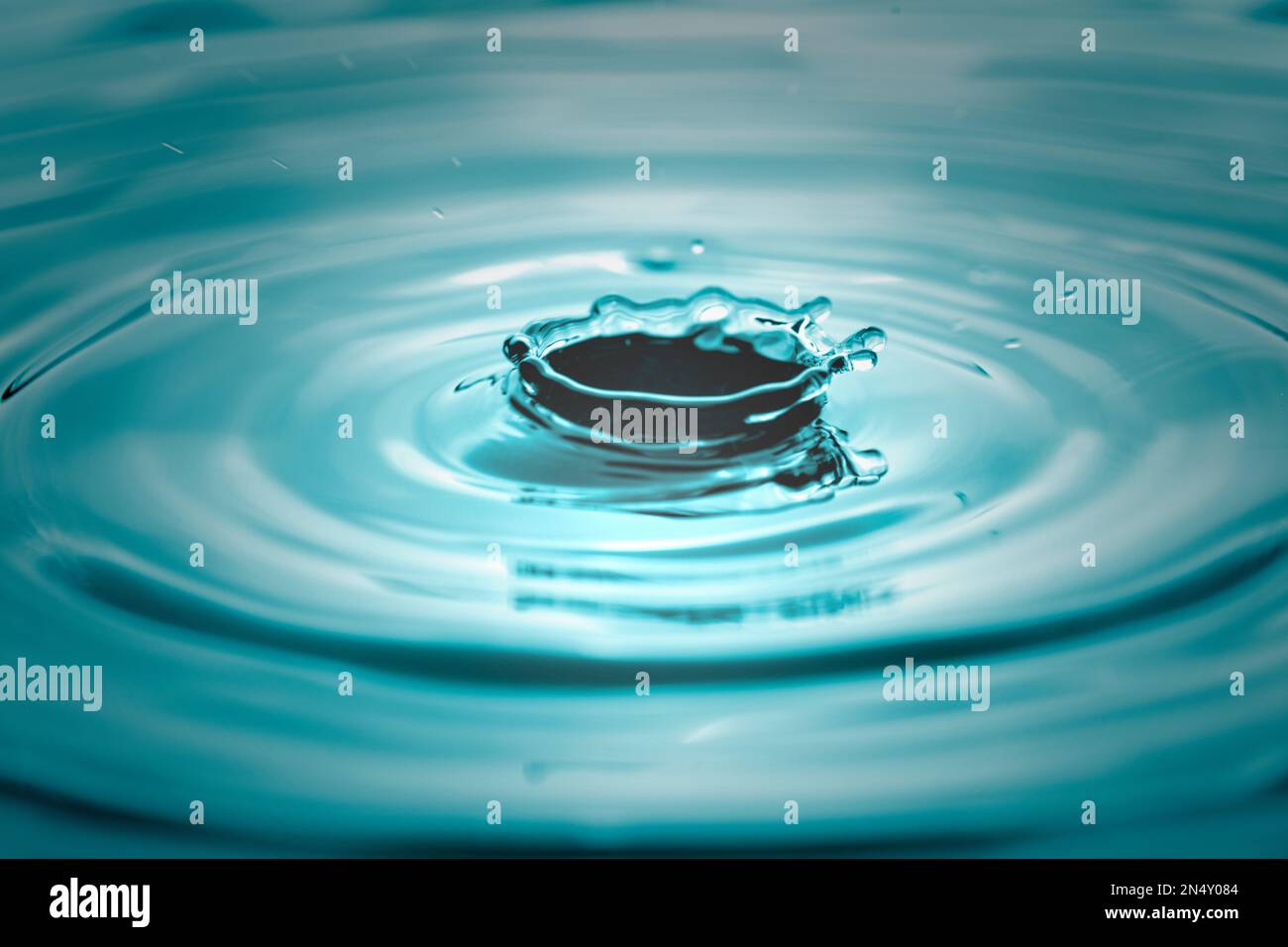 Water drop. World Water Day Stock Photo - Alamy