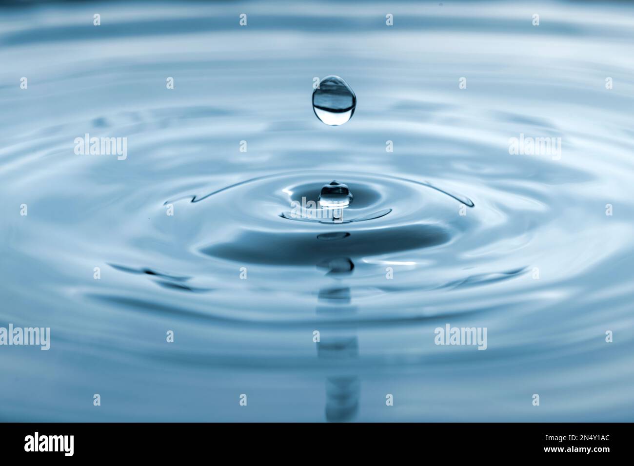 Water drop. World Water Day Stock Photo - Alamy