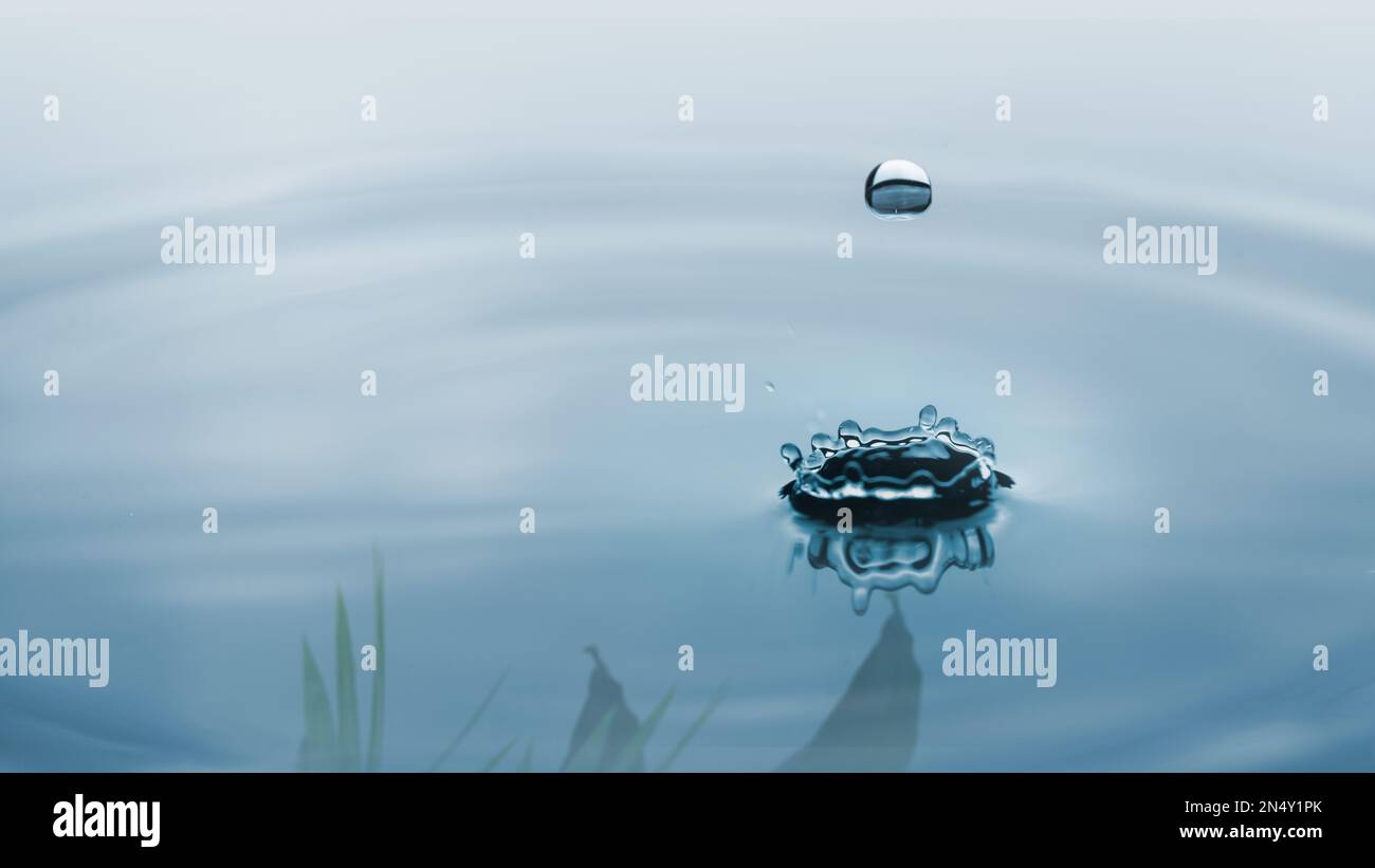 Water drop. World Water Day Stock Photo - Alamy