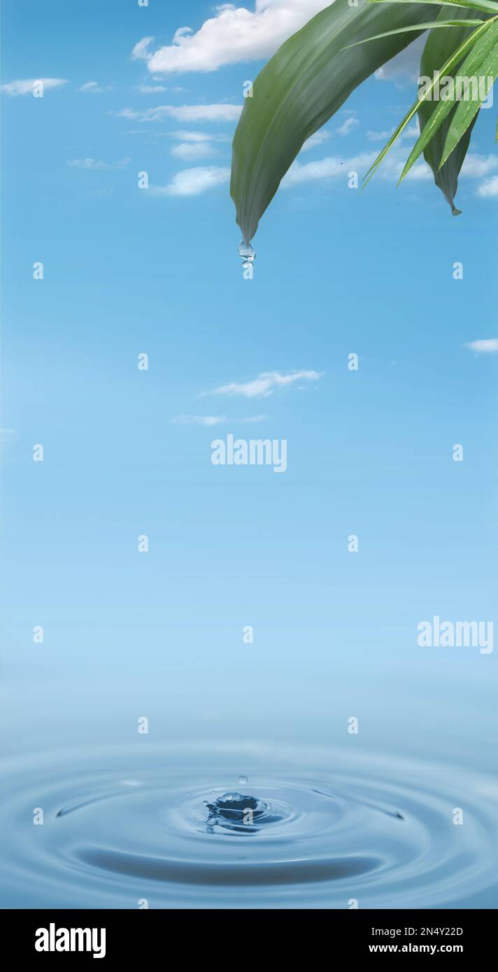 Water drop. World Water Day Stock Photo - Alamy