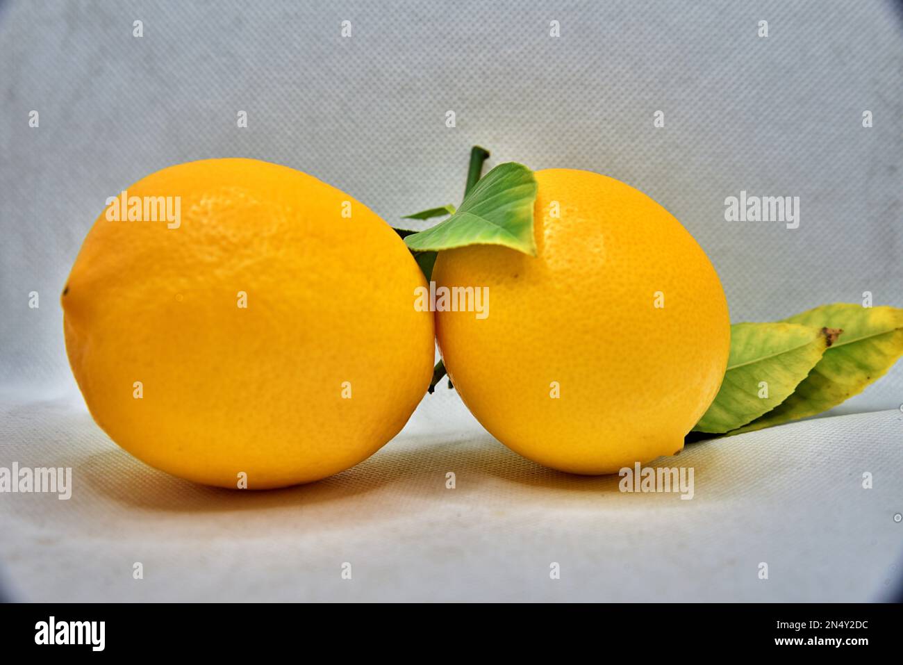 Pair of lemons Stock Photo - Alamy