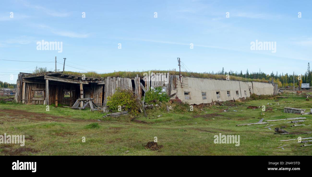 A large room for cattle hoton, made of cow dung and wood, overgrown ...