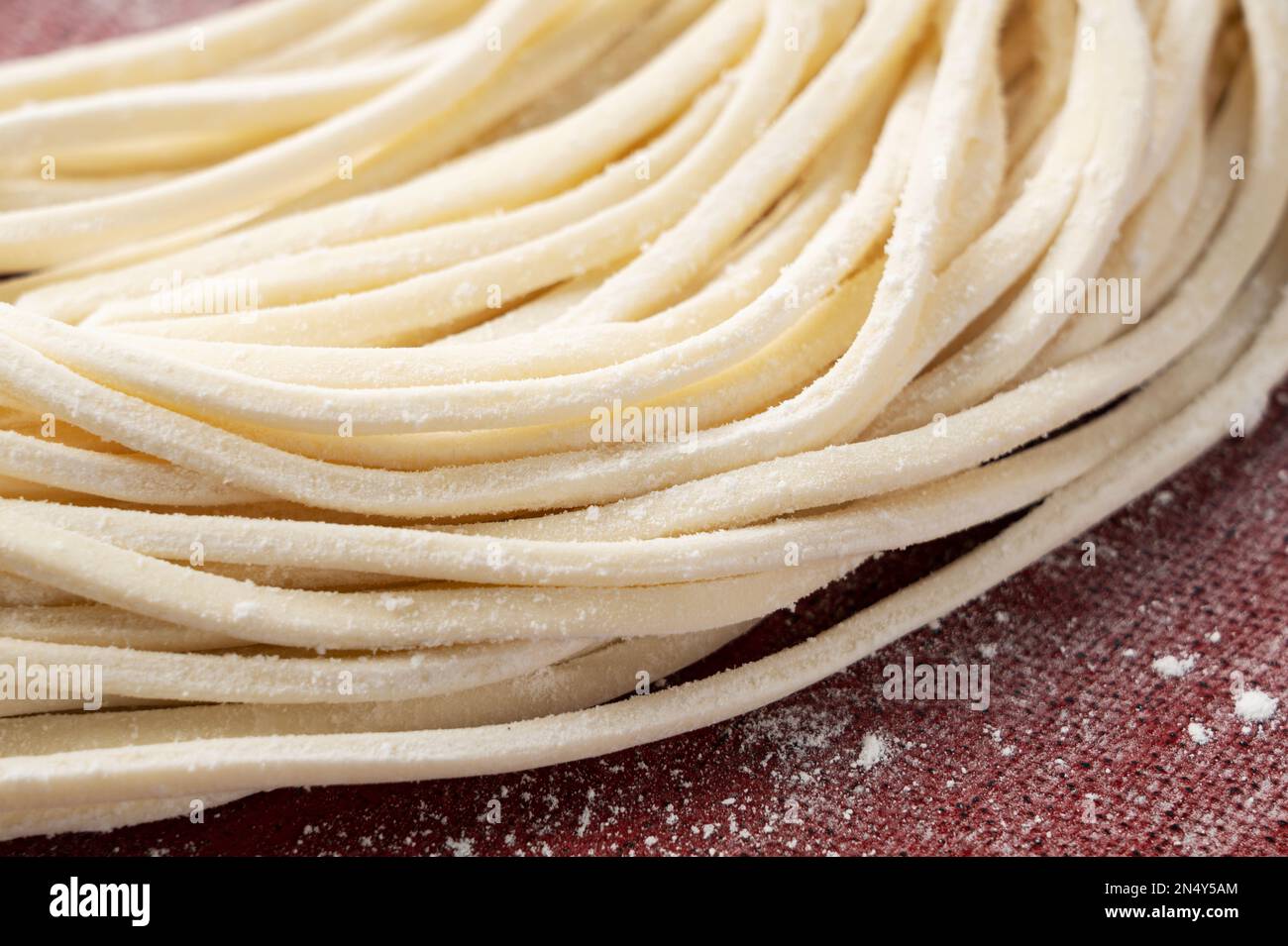 Close-up of fresh udon. Udon noodles before boiling. Freshly made udon ...