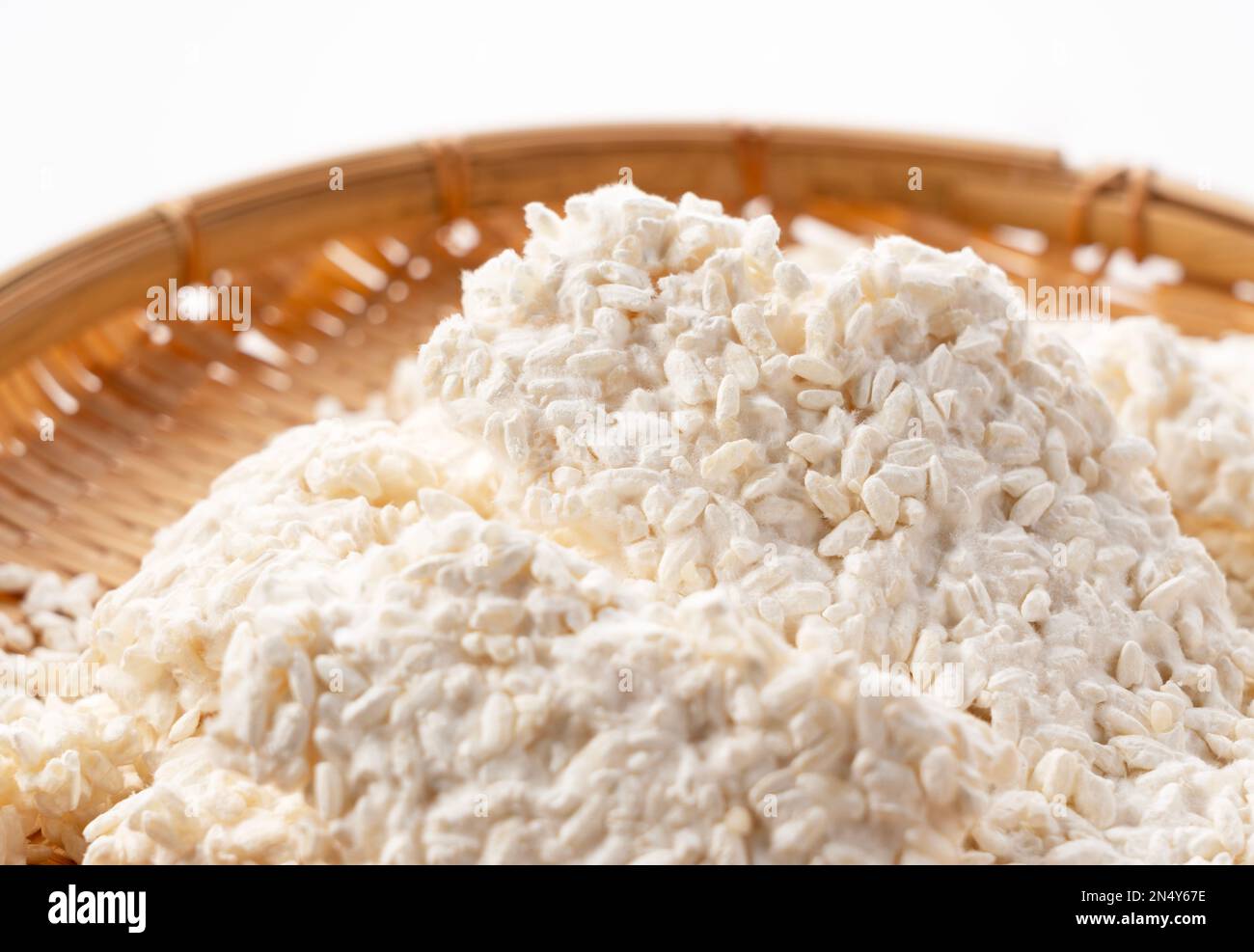 Rice malt placed against a white background. Koji mold. Koji is ...