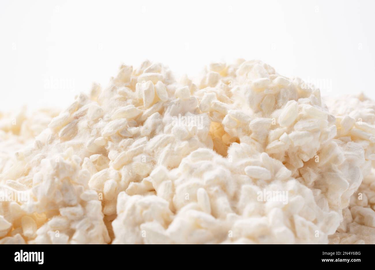 Rice malt placed against a white background. Koji mold. Koji is ...
