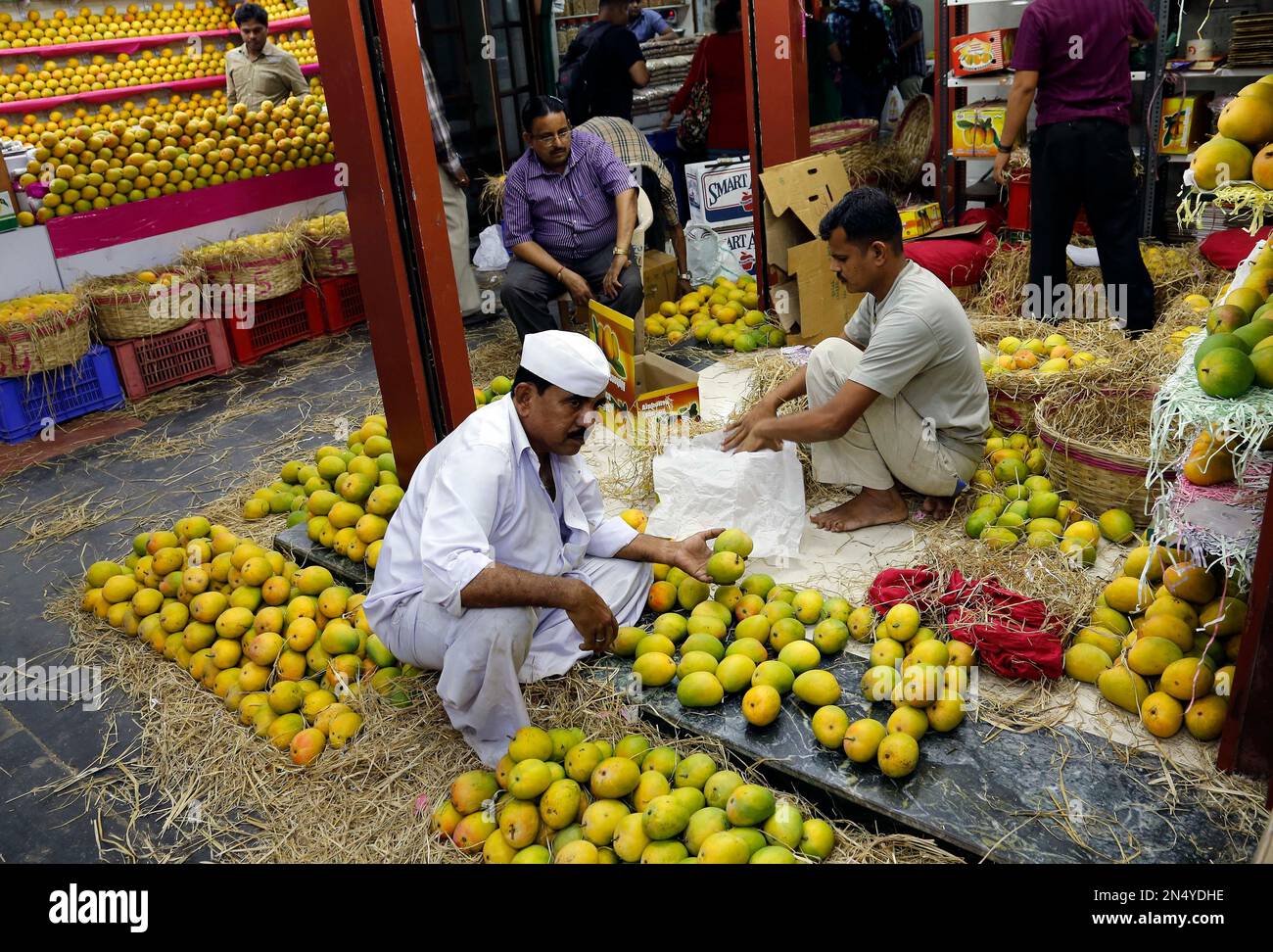 An Indian shopkeeper arranges mangoes at his shop in a fruit market in ...