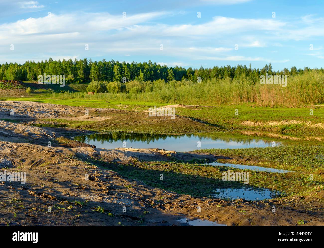 Small drying puddles of water in the Sands of the swamp of the Northern ...