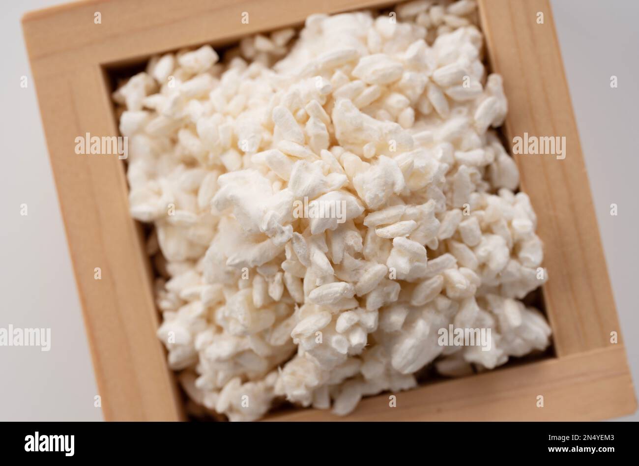 Rice koji in a box placed on a white background. Koji mold. Koji is ...