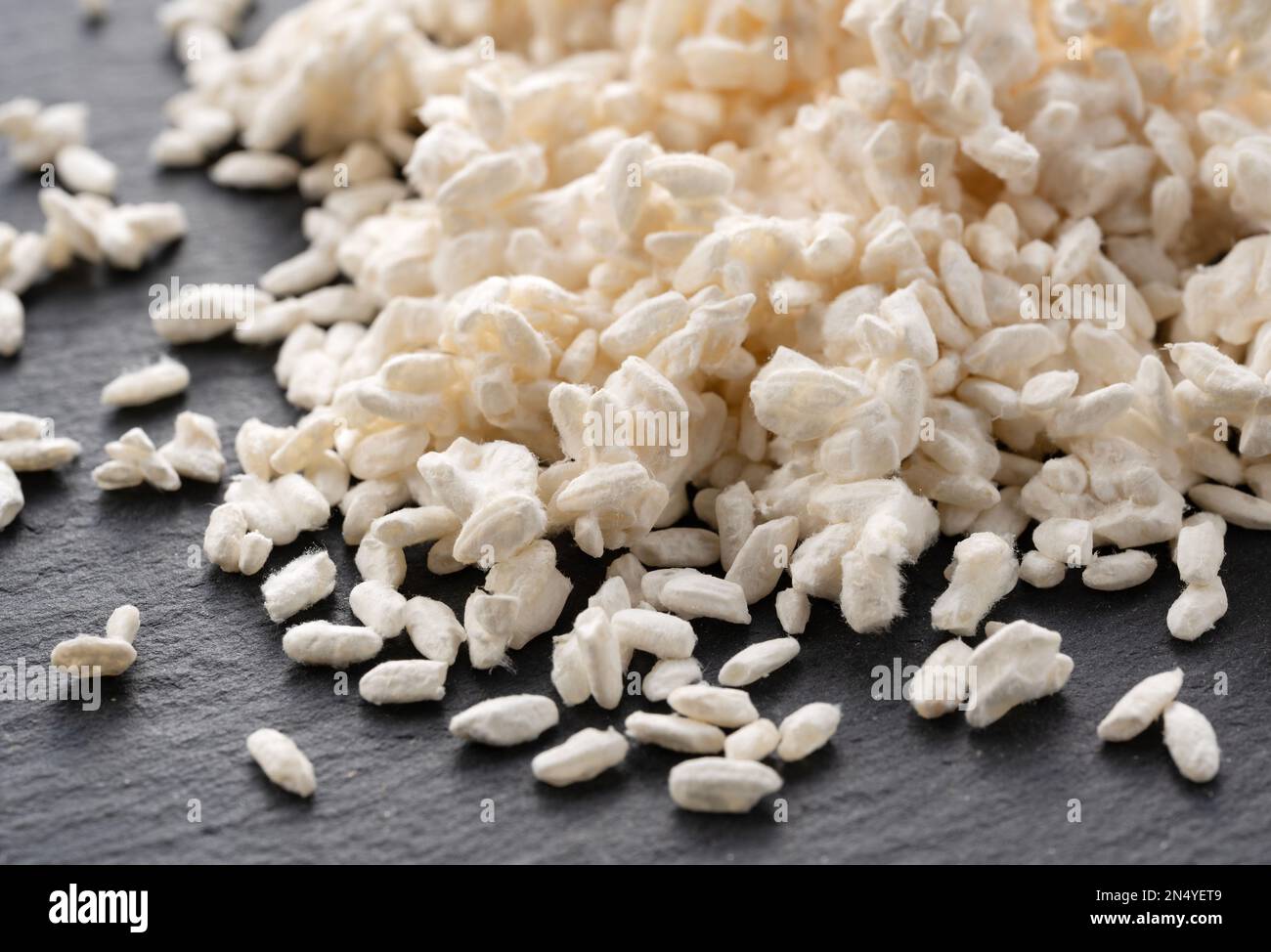 Close-up of rice koji placed on black background. Koji. Koji is ...