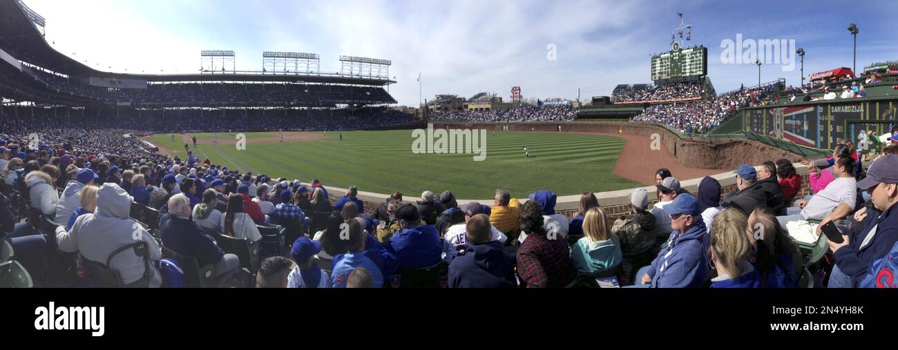 Pictured in iPhone Pano is Wrigley Field along the right field line ...