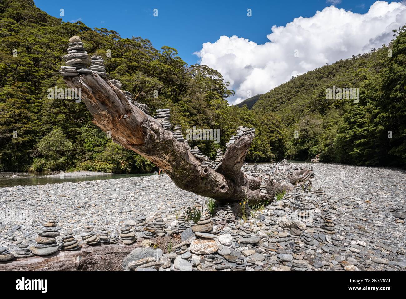 An old fallen tree trunk covered in man made stone cairns at Fantail ...
