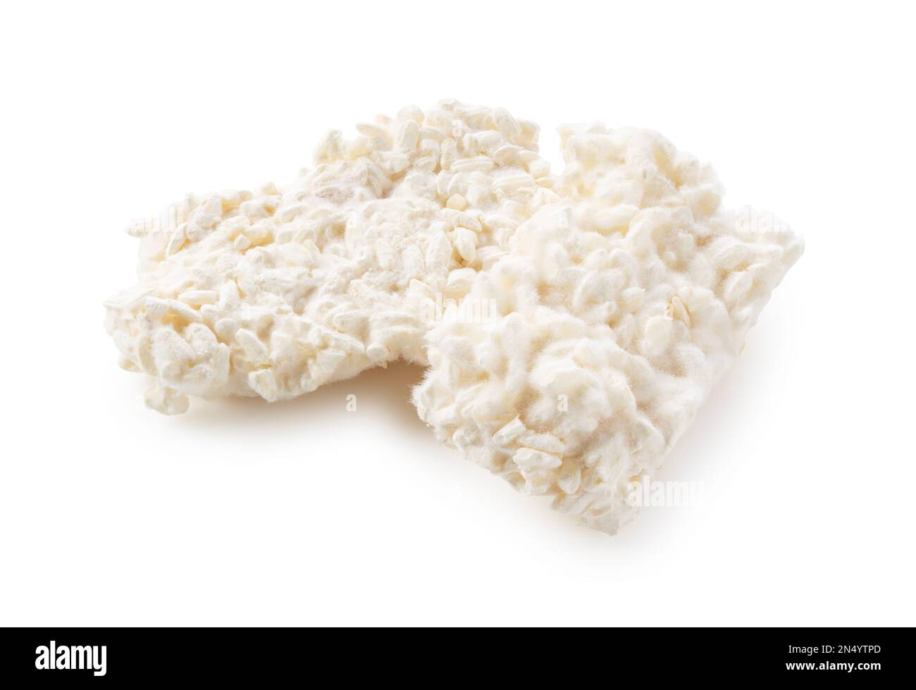 Rice malt placed against a white background. Koji mold. Koji is ...