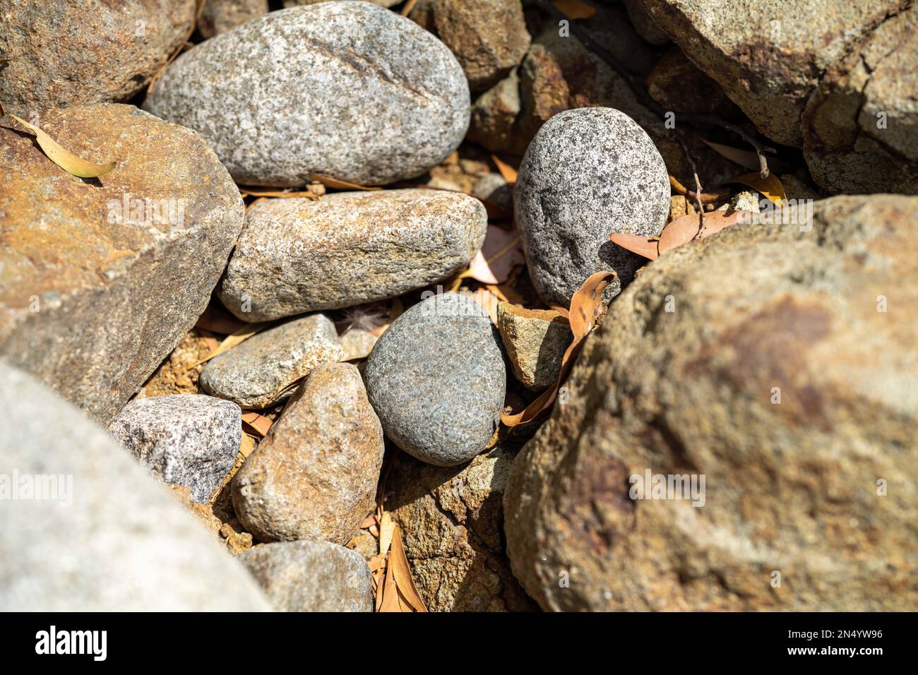 round rocks and pebbles on the beach in australia Stock Photo - Alamy