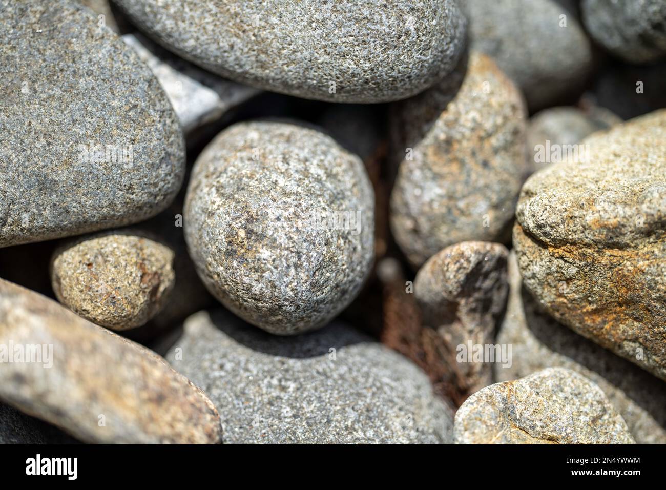 round rocks and pebbles on the beach in australia Stock Photo - Alamy