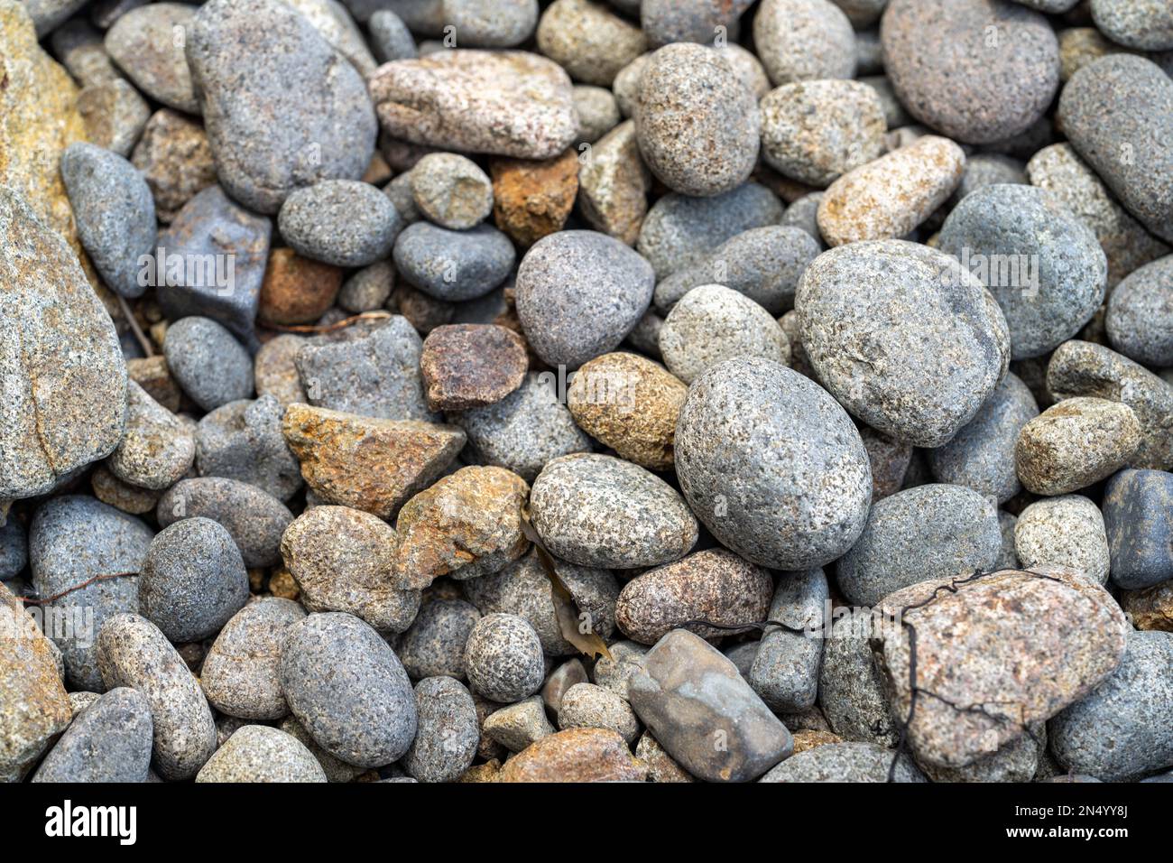 round rocks and pebbles on the beach in australia Stock Photo - Alamy