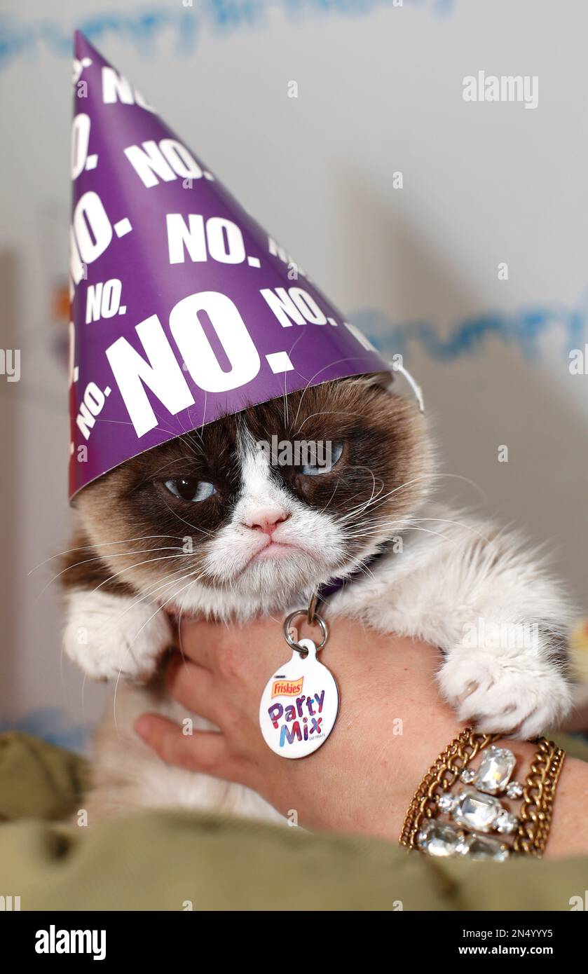 Birthday Party Grumpy Cat