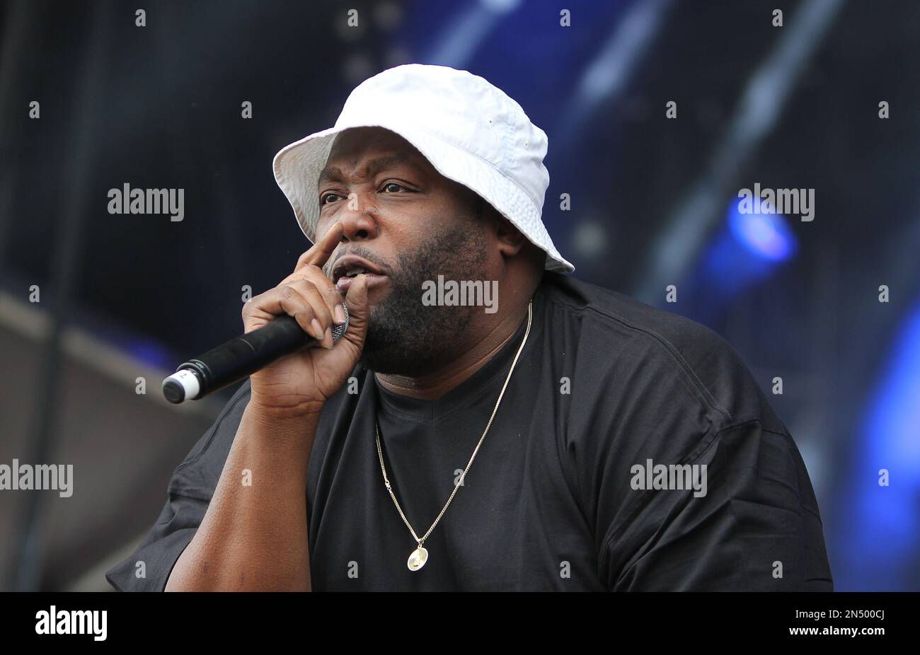 El-P and Killer Mike with Run the Jewels performing as part of the ...