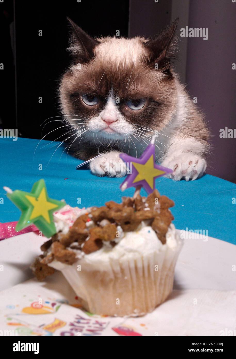 Friskies Party MixT celebrates its official spokescat Grumpy Cat's ...