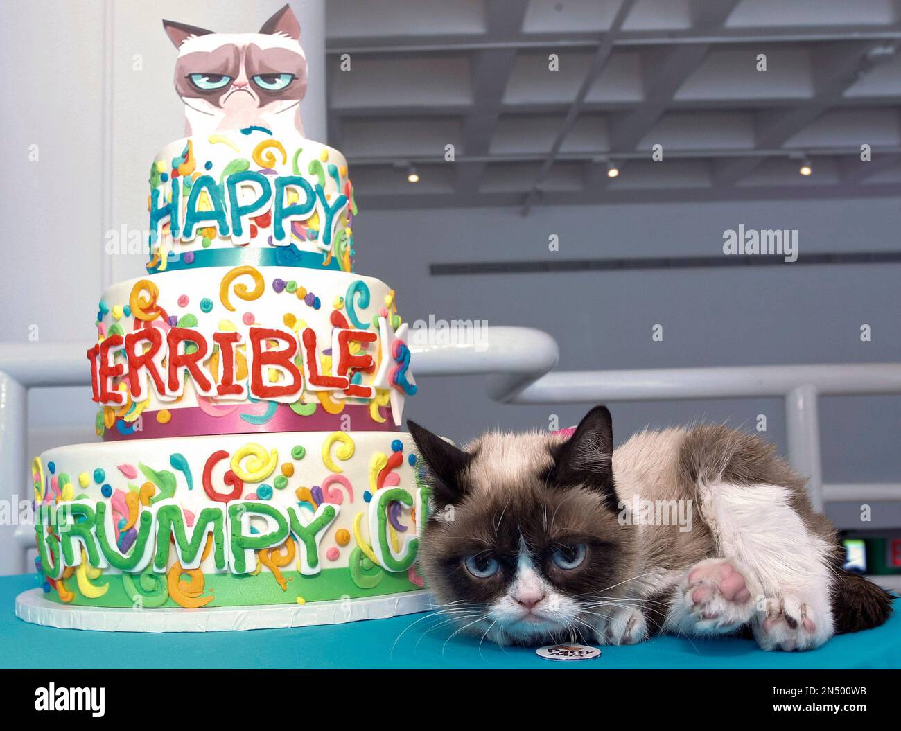 Friskies Party MixT celebrates its official spokescat Grumpy Cat's ...
