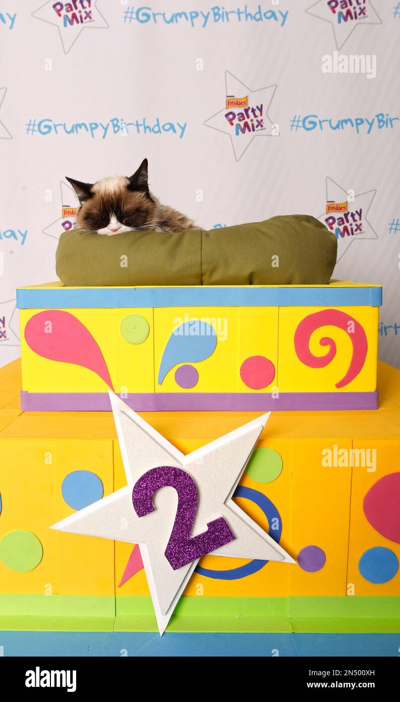 Friskies Party MixT celebrates its official spokescat Grumpy Cat's ...