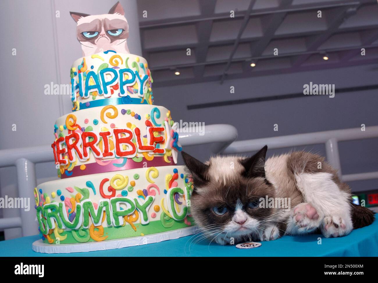 Friskies Party MixT celebrates its official spokescat Grumpy Cat's ...